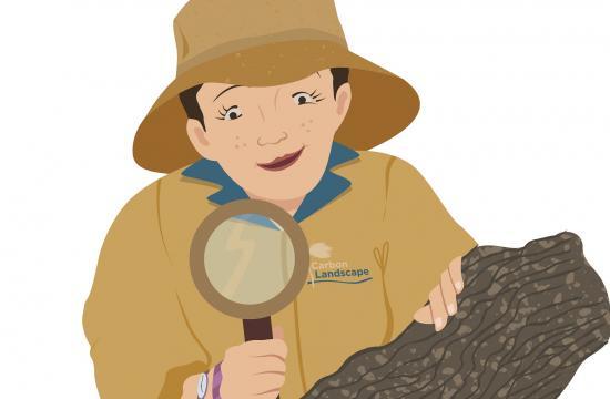 Landscape Adventurer Word Search Carbon Landscapes Landscape Adventurer Word Search Carbon Landscapes